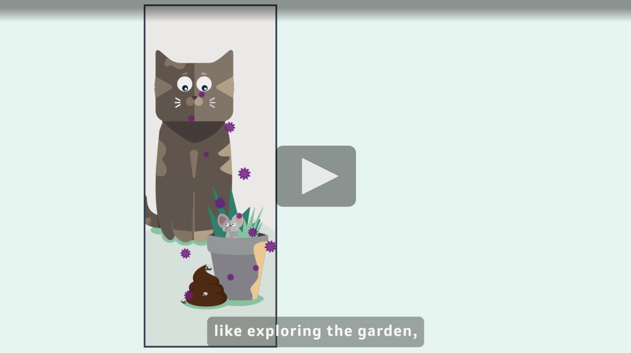 Pet Vaccination: A Complete and Safe Guide | Mypet